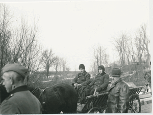 Bildarchiv Ostpreußen