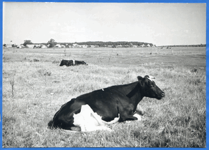 Picture Library East Prussia