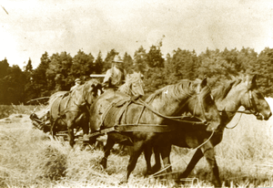 Picture Library East Prussia
