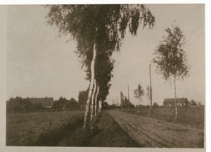 Picture Library East Prussia